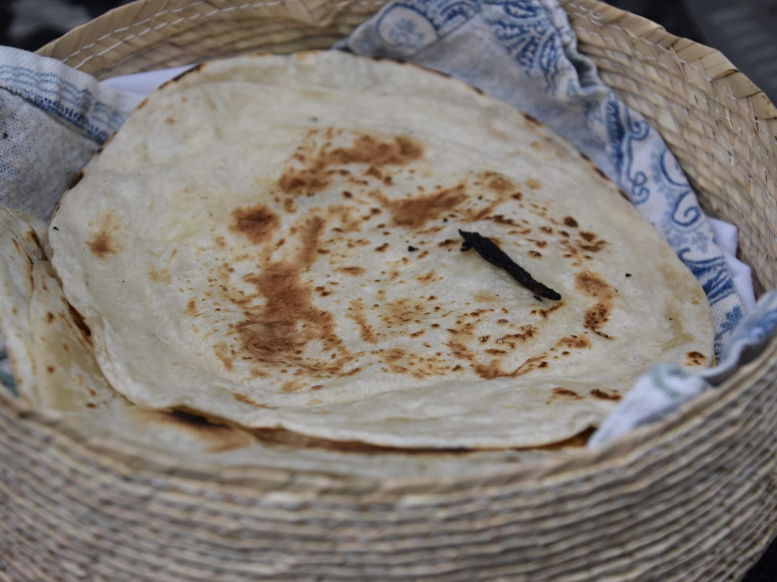 Djibouti's Only Travel Guide You Need For A Great Trip in 11 Easy Steps