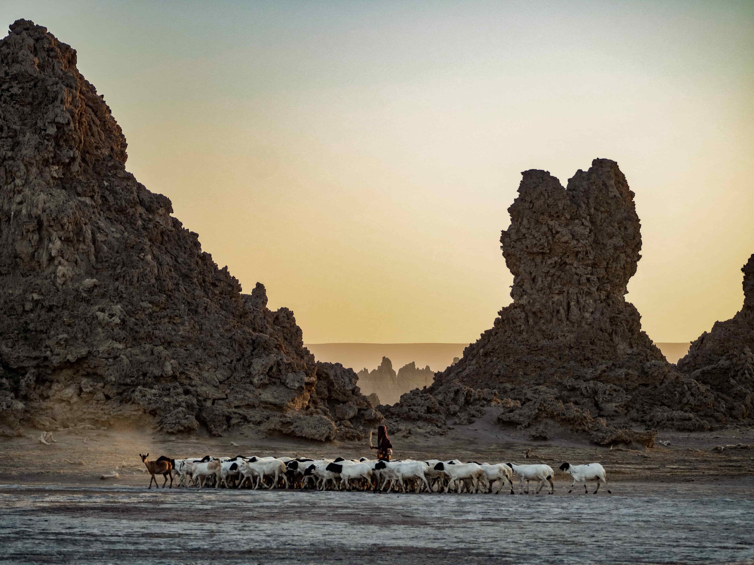 Djibouti's Only Travel Guide You Need For A Great Trip in 11 Easy Steps